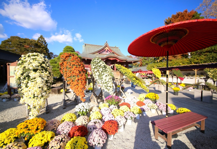 Kasama Inari Shrine | Visit | IBARAKI GUIDE