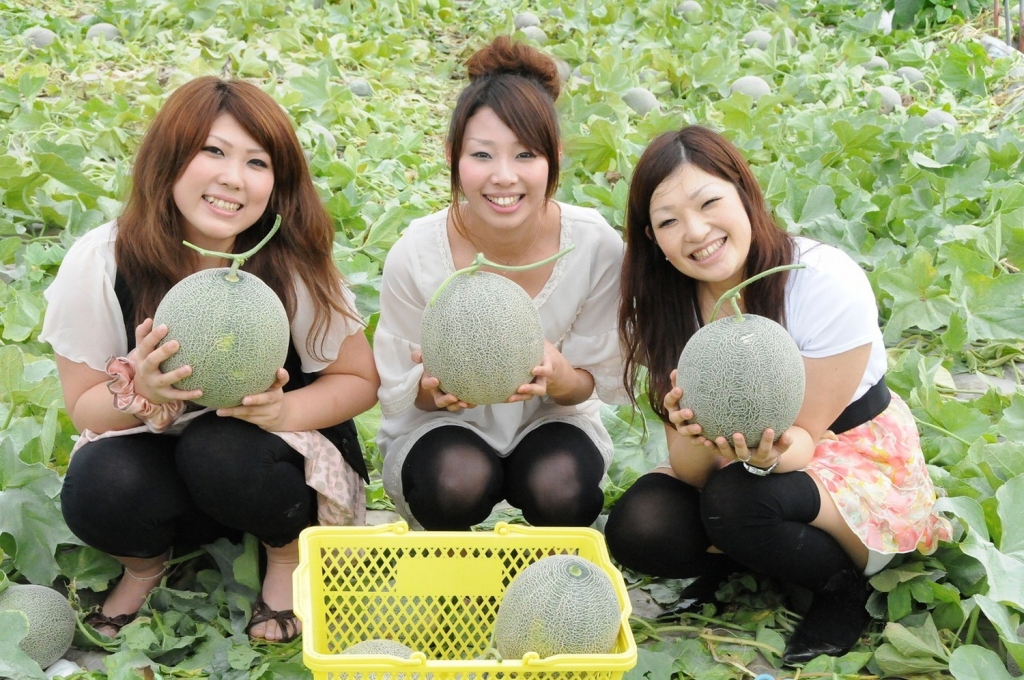 5 Foods to Try in Ibaraki: Melon, Hitachi Beef, Dried Sweet Potatoes ...