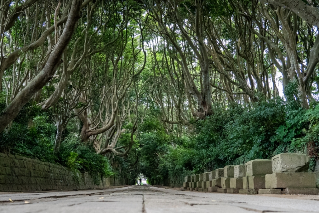 Great Access From Tokyo! 7 Amazing Shrines and Temples in Ibaraki ...