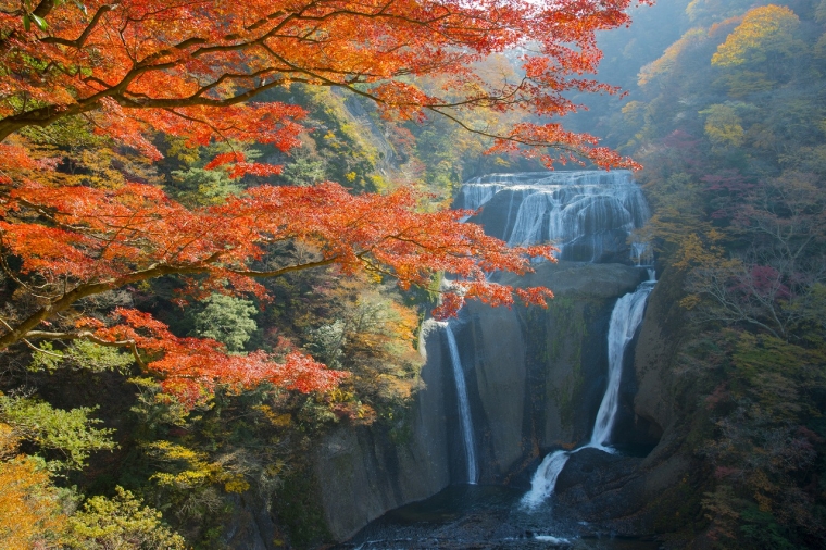 Fukuroda Falls, Hot Springs, and More! Nature Travel in Daigo, Northern ...