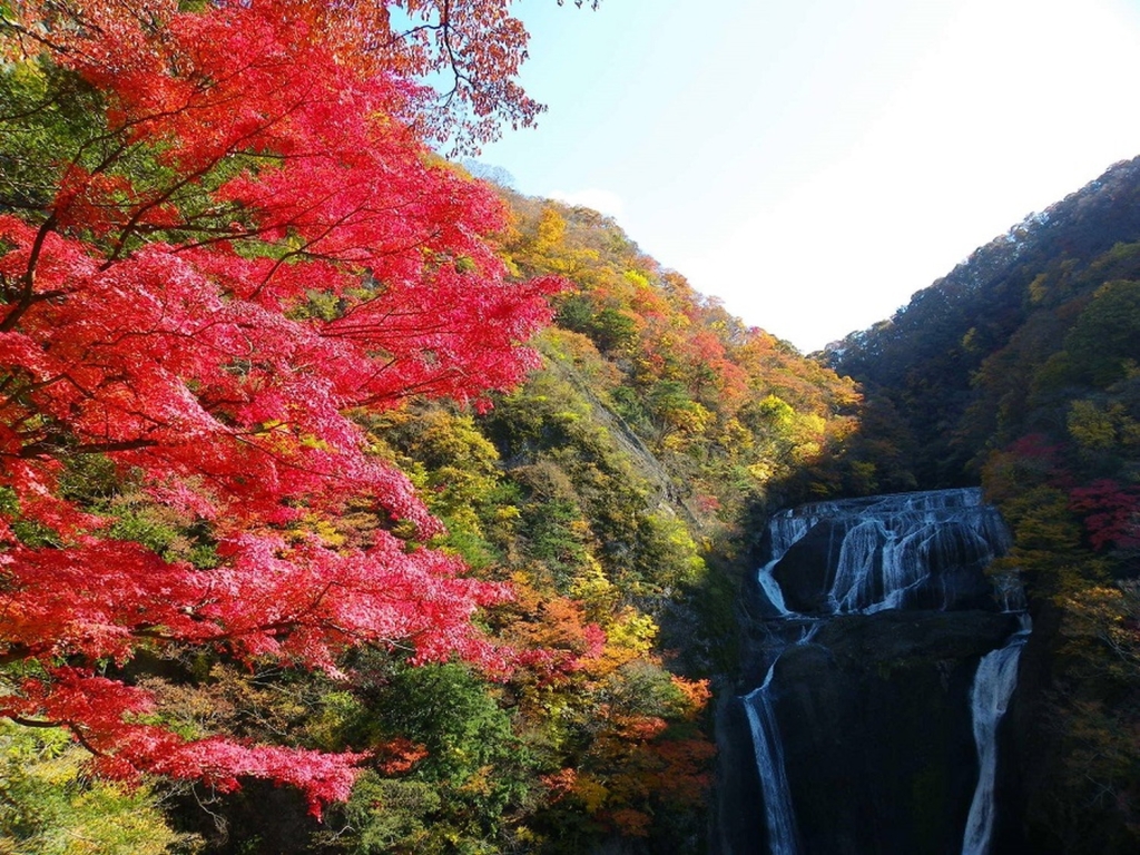 Ibaraki’s Top 8 Fall Foliage Spots: Enjoy Splendid Views Near Tokyo ...