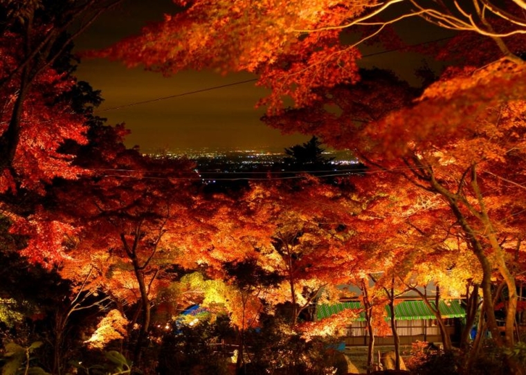 Ibaraki’s Top 8 Fall Foliage Spots: Enjoy Splendid Views Near Tokyo ...