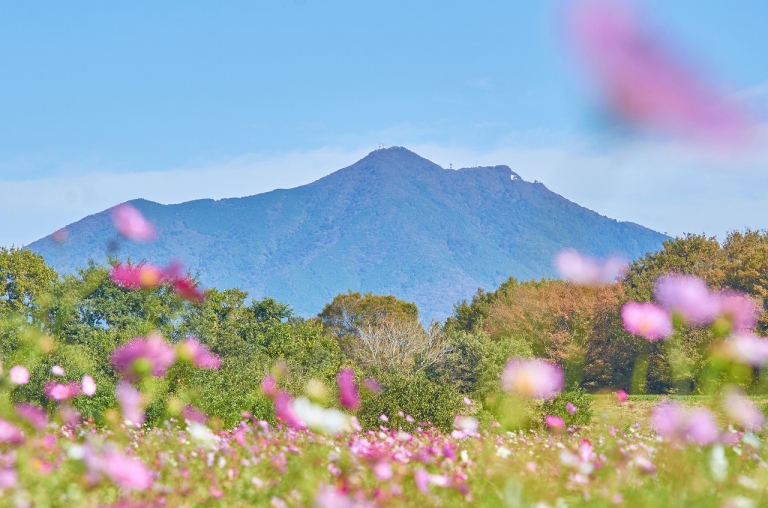 Hiking Near Tokyo! Mt. Tsukuba: Highlights, Hot Spring Inns, and More ...