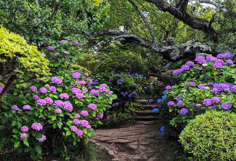 Howaen Garden | Visit | IBARAKI GUIDE