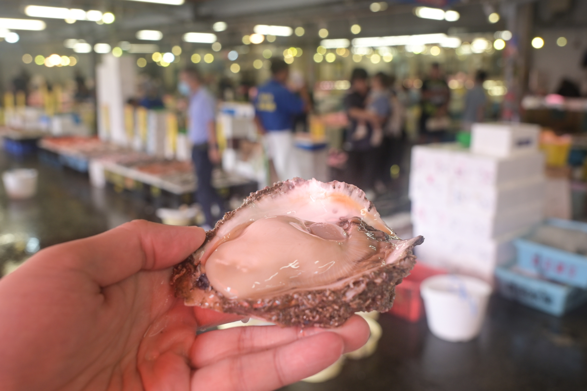 Ibaraki: Top 7 Spots in Oarai, a Town by the Ocean | HIGHLIGHTS ...