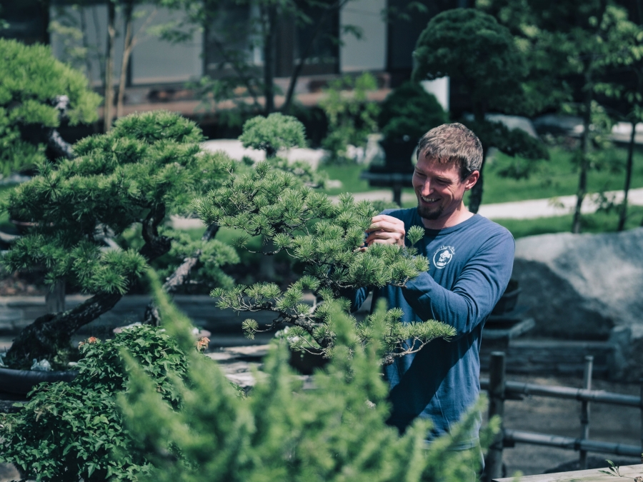 Enjoy the charms of Bonsai at Tree House Bonsai, Ami Town | News | IBARAKI GUIDE