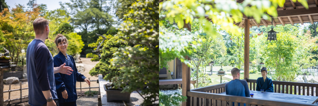 🌳Experience the Fusion of Nature and Art on a Bonsai Retreat at ...