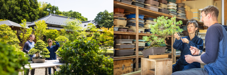 🌳Experience the Fusion of Nature and Art on a Bonsai Retreat at ...